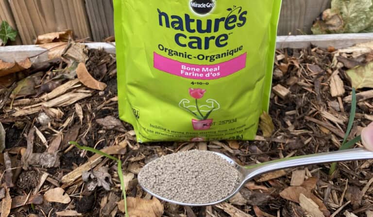 11 Best Low Nitrogen Fertilizers ( A Complete Guide )