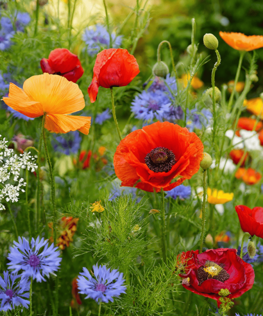 Enhancing the Charm of Cottagecore Gardens with these 15 Ideas | Bigger ...