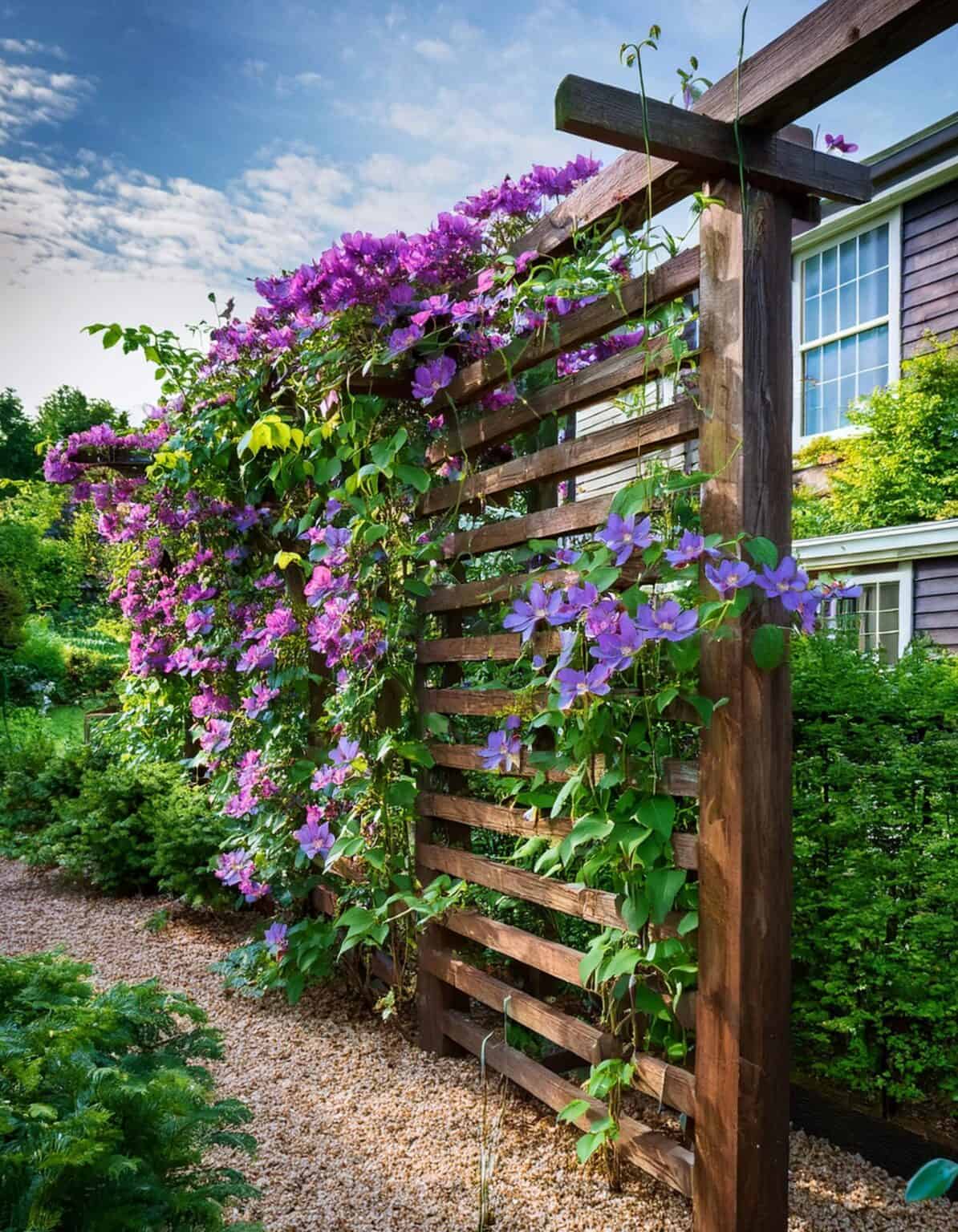 15 Stunning Living Privacy Fence Ideas to Transform Your Garden ...